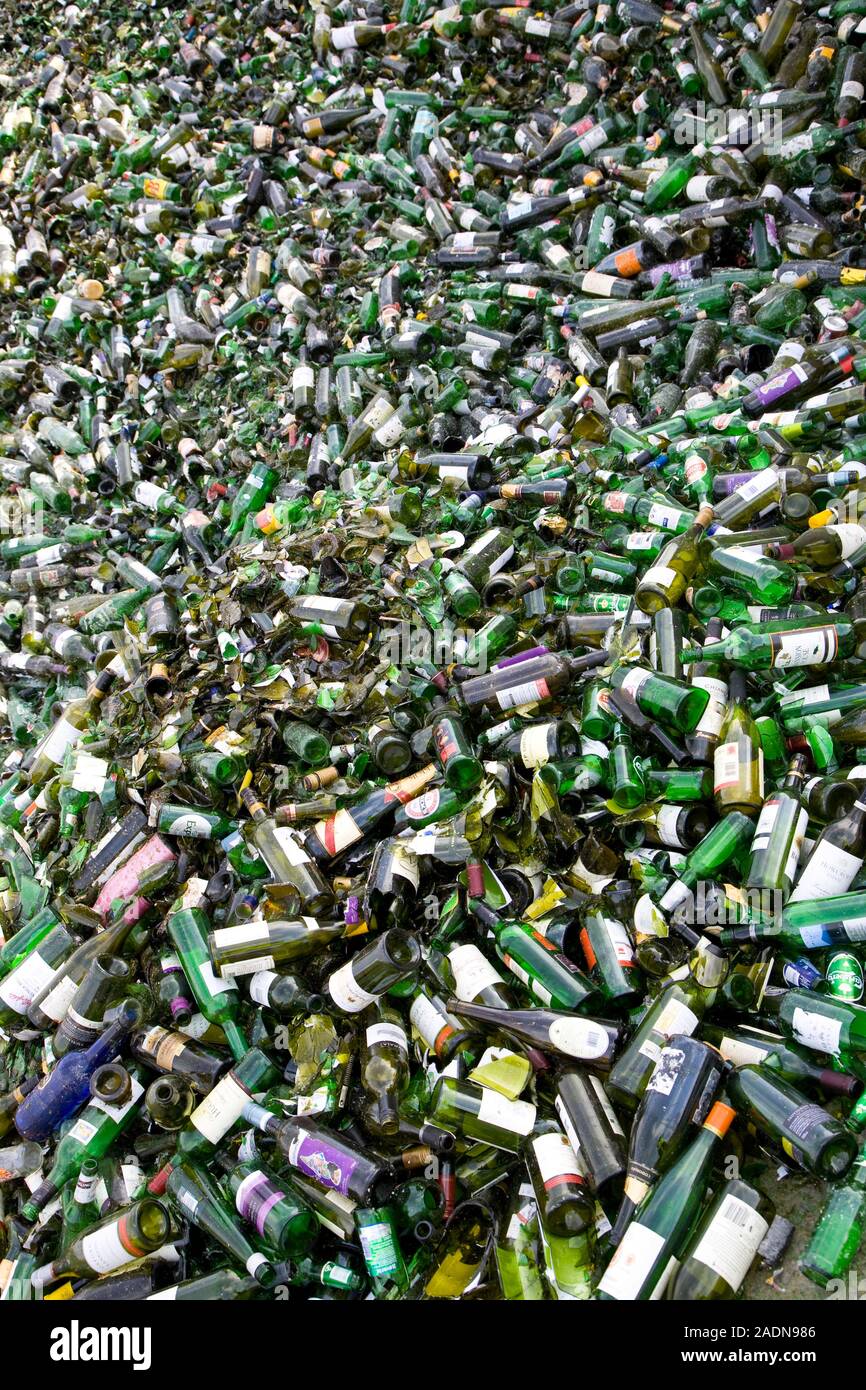 Glass recycling. Green glass bottles in a recycling depot. Photographed ...