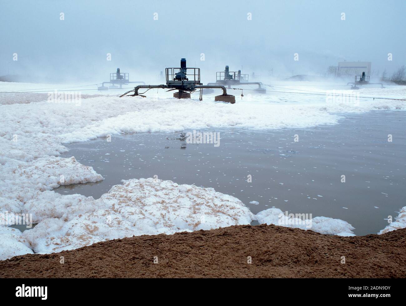 Effluent treatment lagoon for a complex of paper mills. Any toxic ...