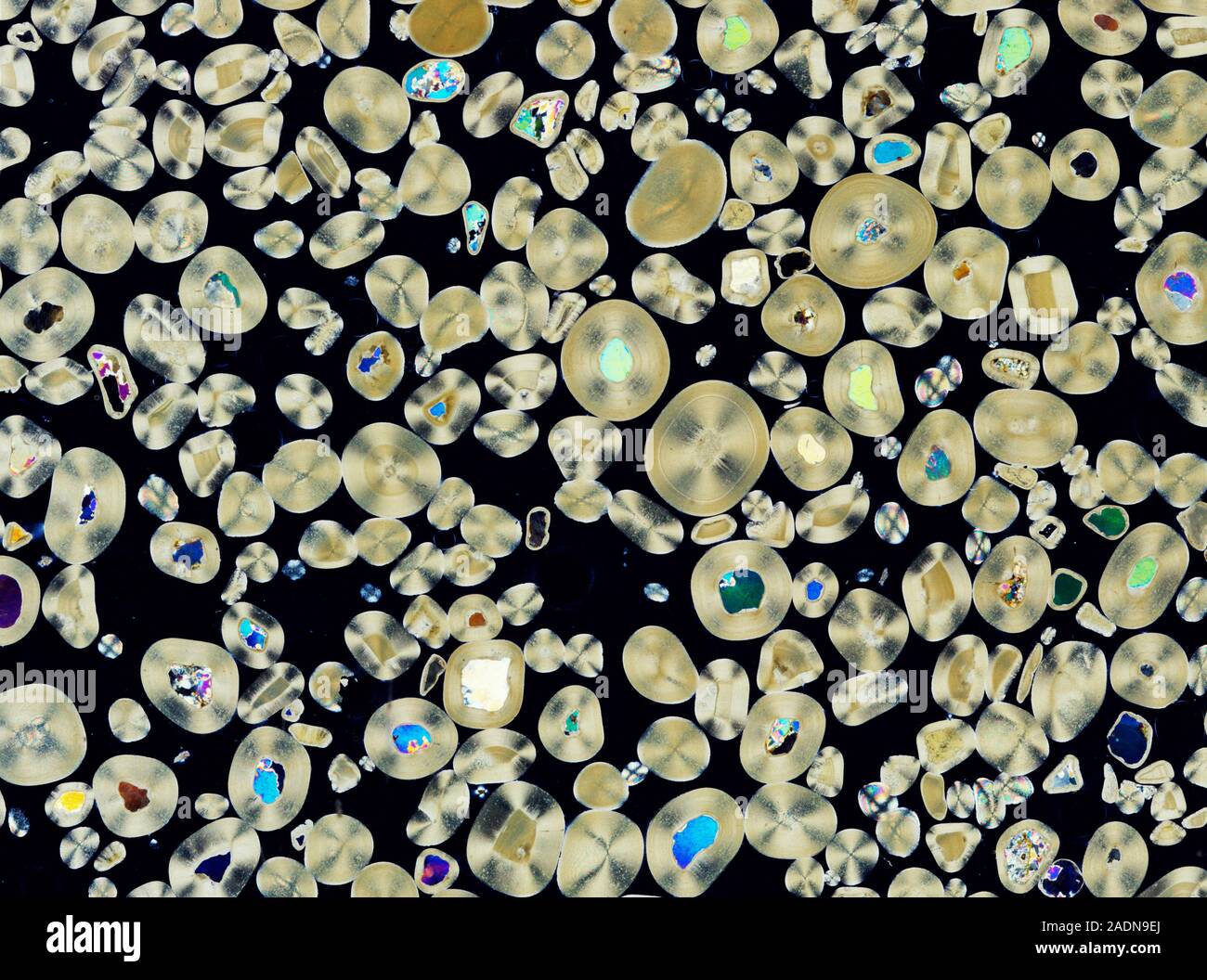 Used water softening pellets. Round pellets formed by concentric ...