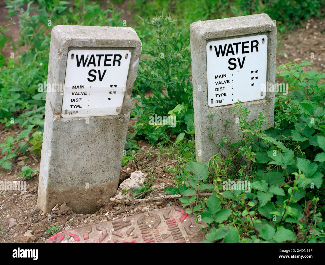 Water main. Posts indicating the location of a water main Stock Photo ...