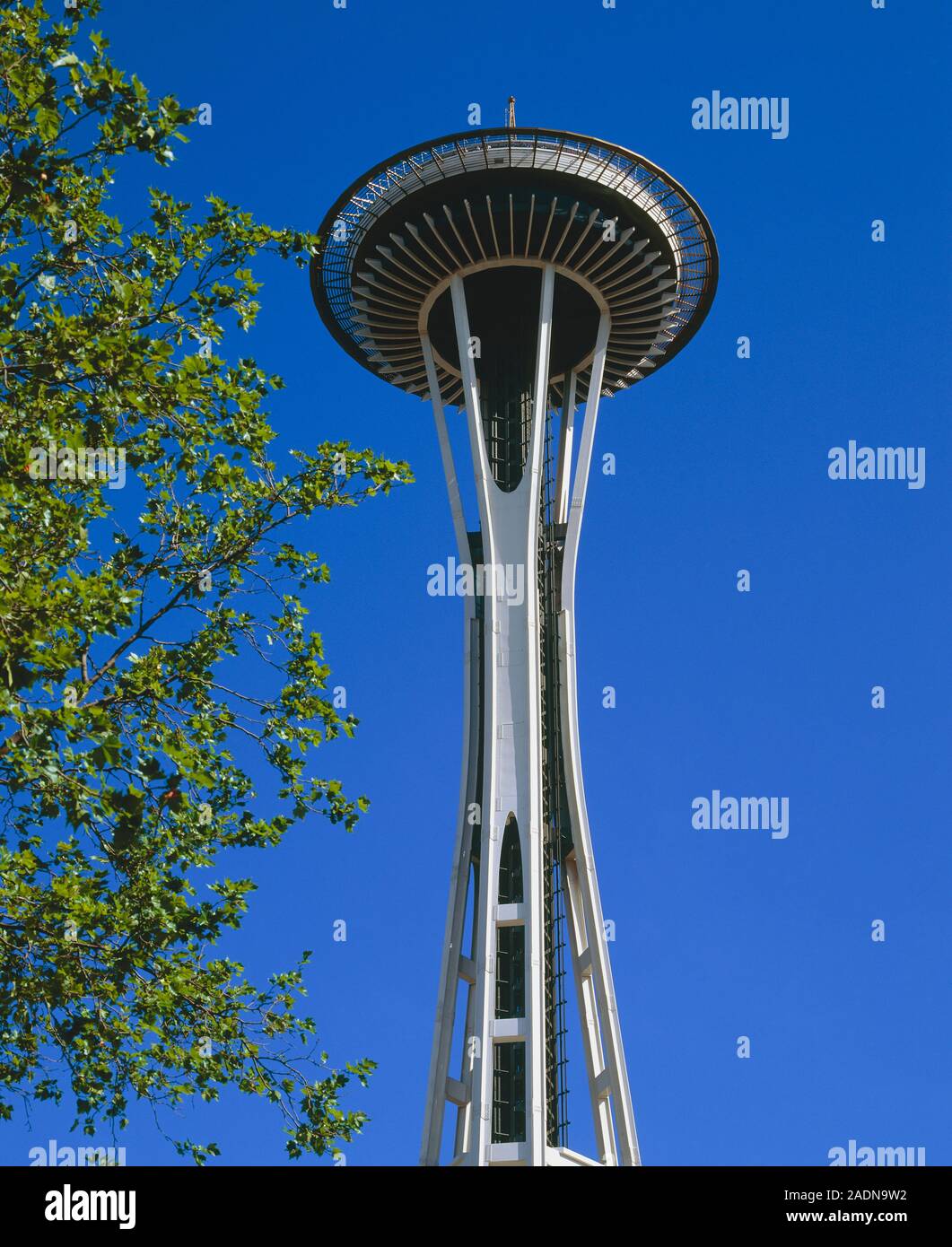 The 'Space Needle' tower, Seattle, USA Stock Photo - Alamy