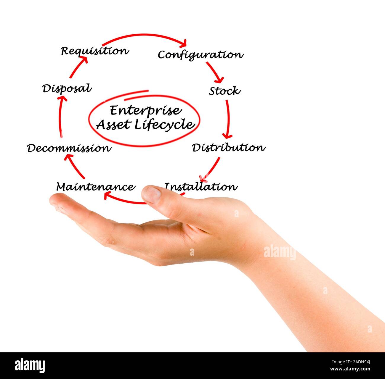 Enterprise Asset Life Cycle Stock Photo - Alamy