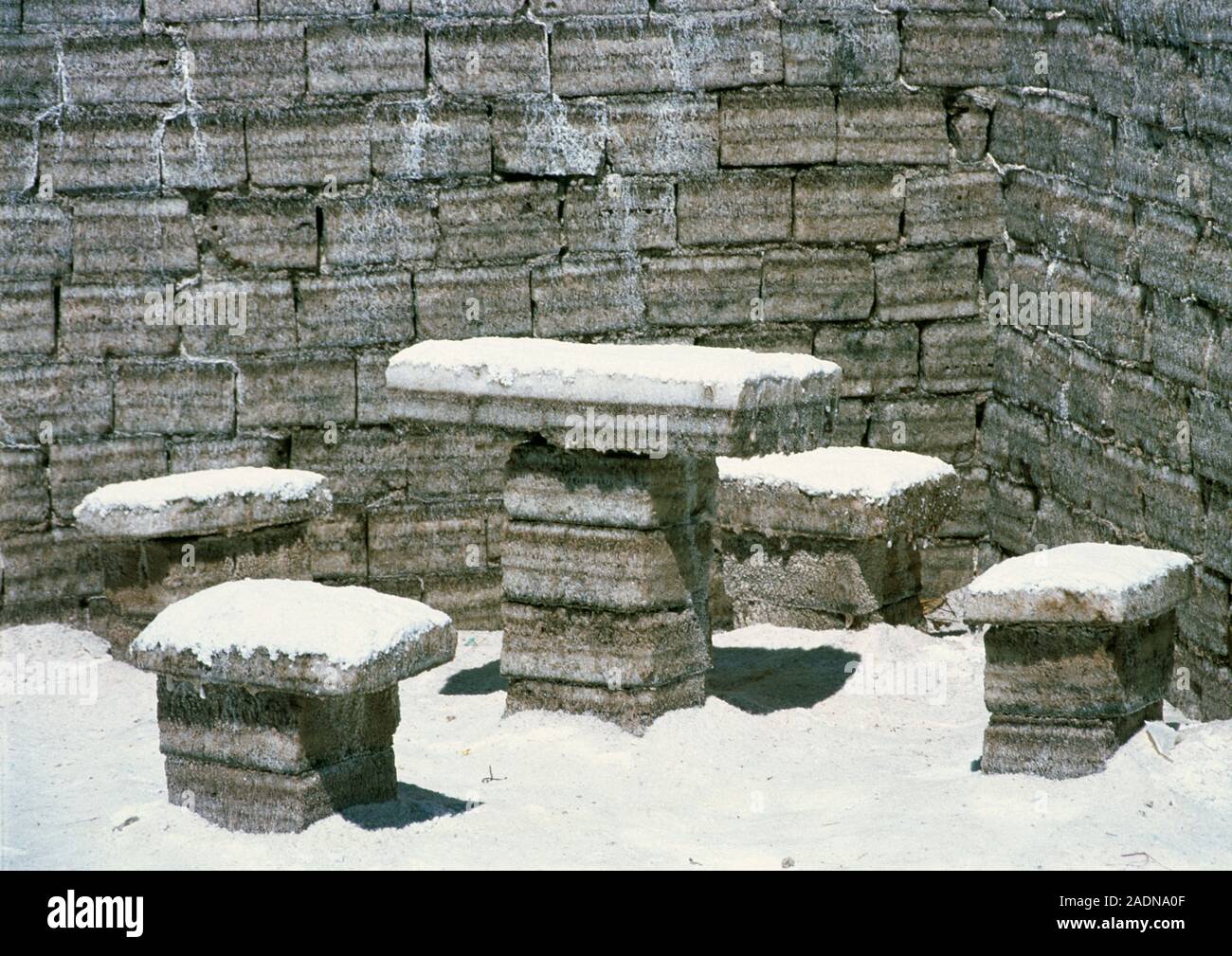 Salt hotel dining area. Dining table and stools at the Salt Palace and ...