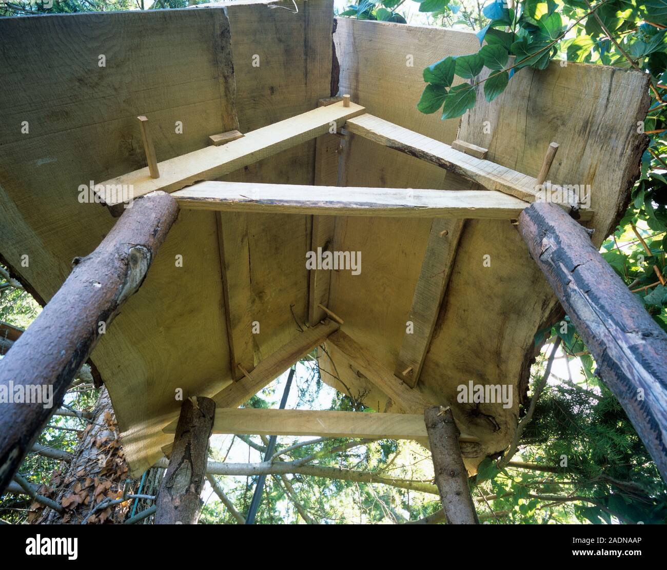 Outside toilet roof and supporting beams. Both the roof and beams are ...