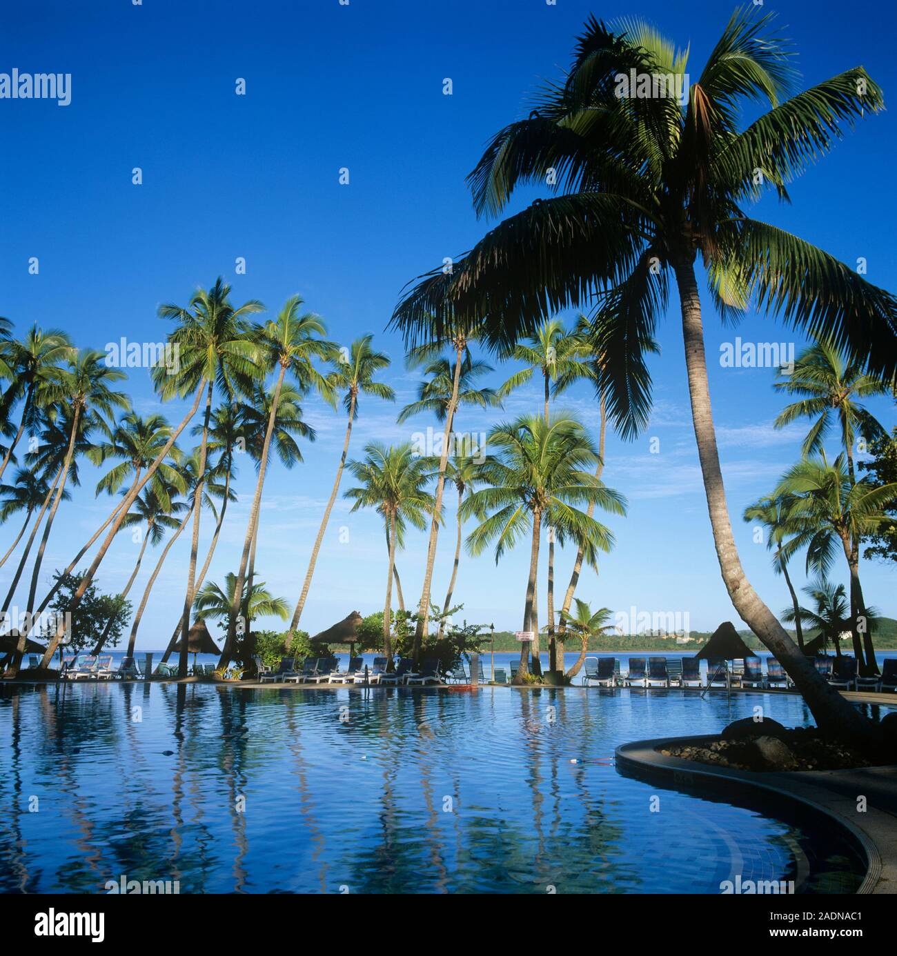 Swimming pool. Photographed at a coastal resort in Fiji Stock Photo - Alamy