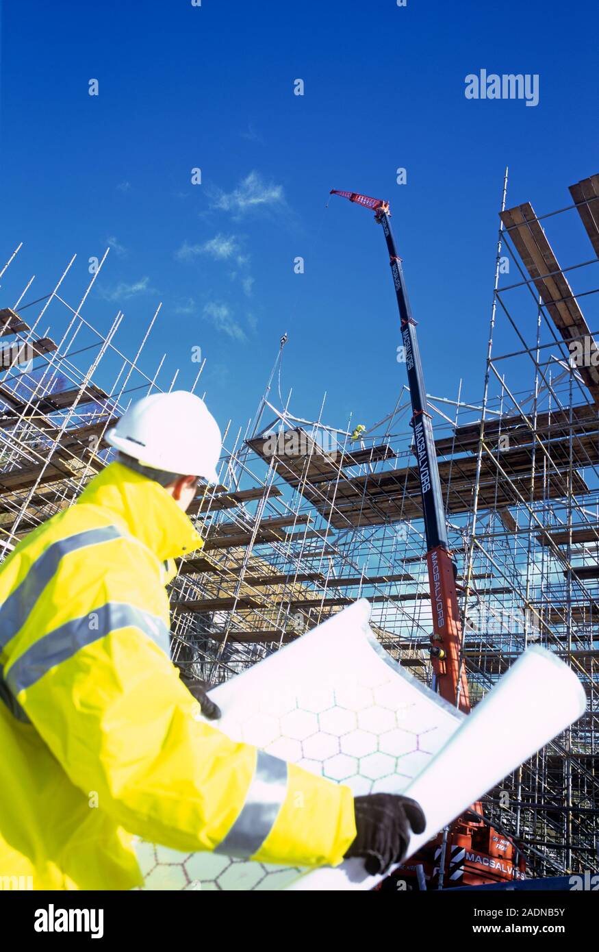Eden Project construction. Construction worker holding blue prints for ...