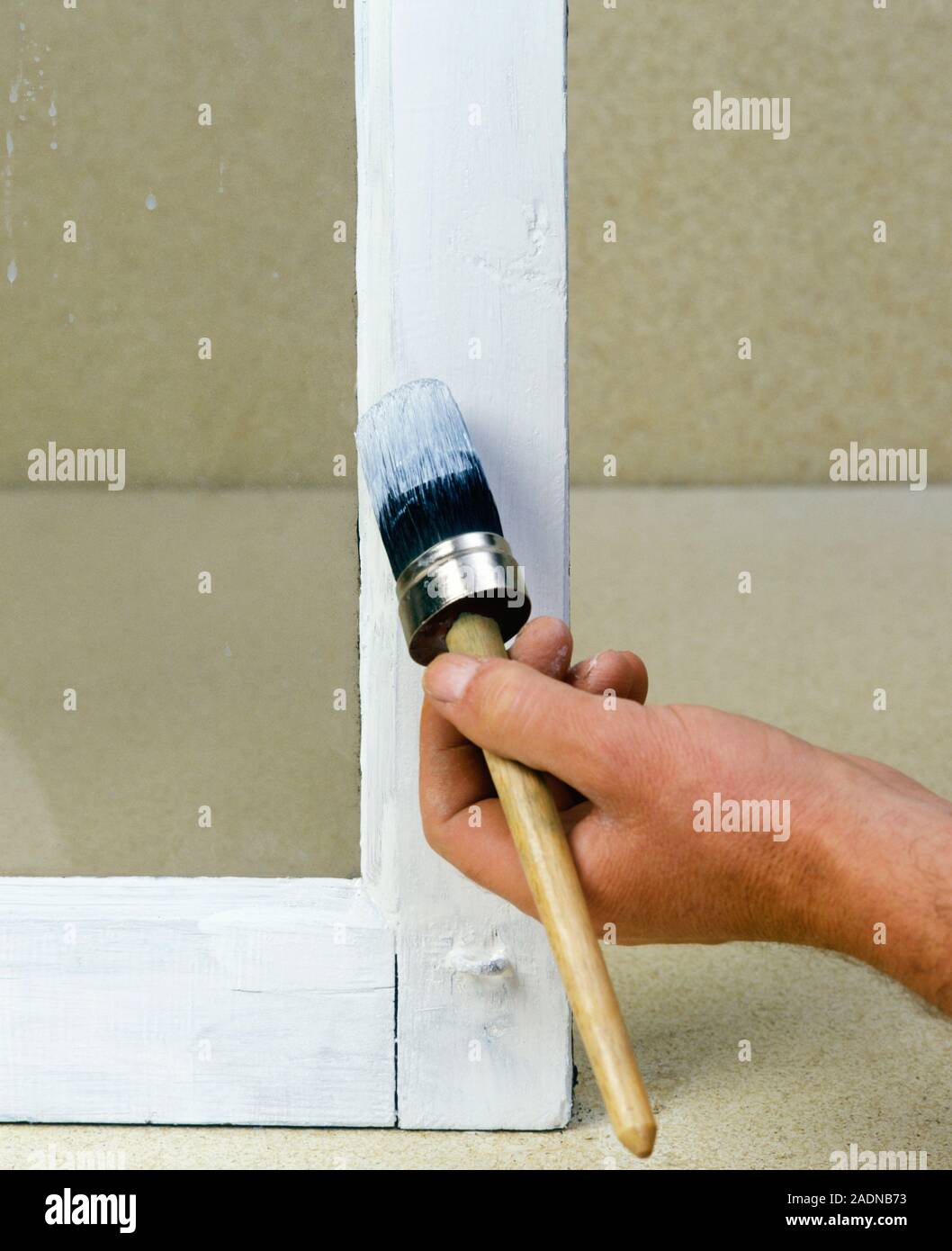 MODEL RELEASED. Window frame restoration. Image 6 of 8. Applying a ...