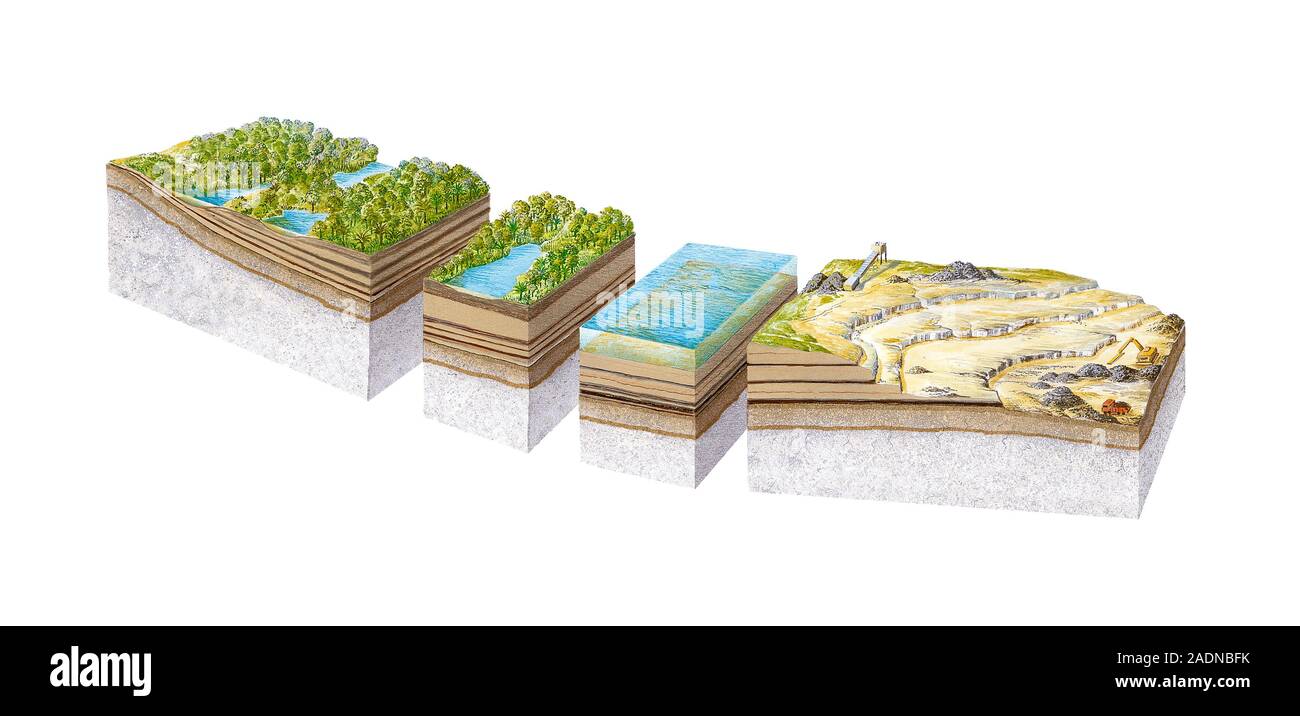 Coal formation and mining. Artwork showing stages in the formation of ...