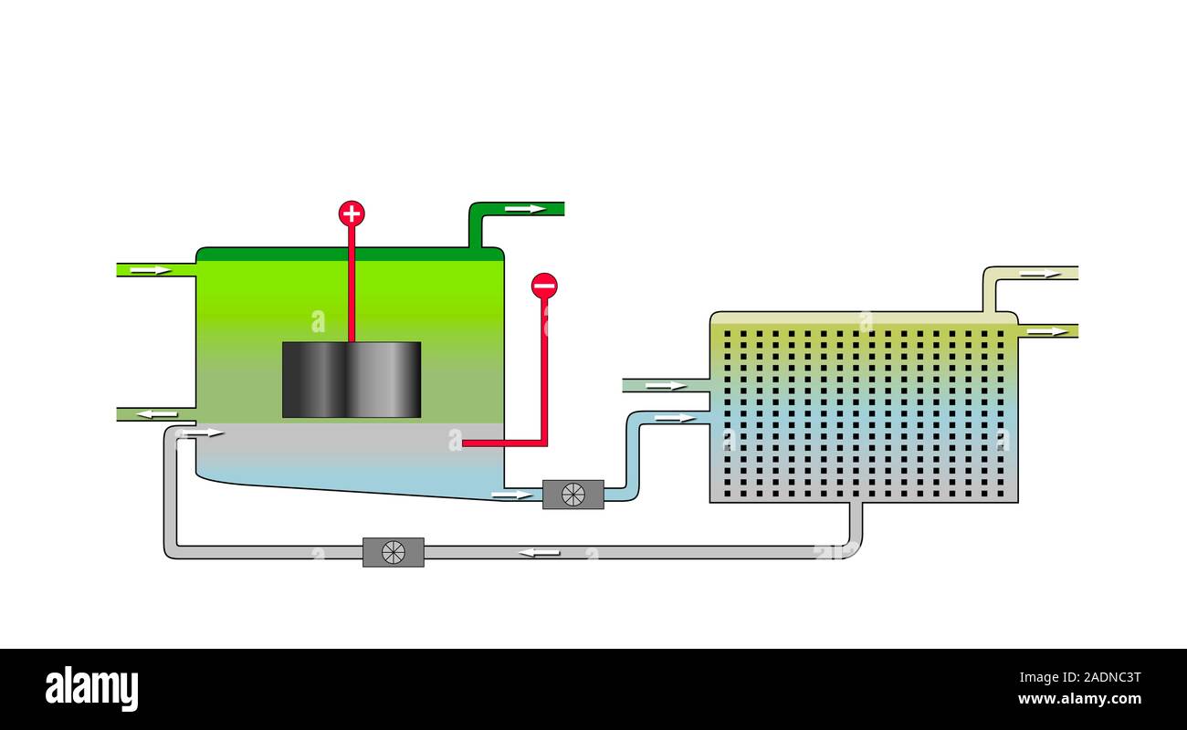 Sodium hydroxide production. Schematic diagram of the mercury cell ...