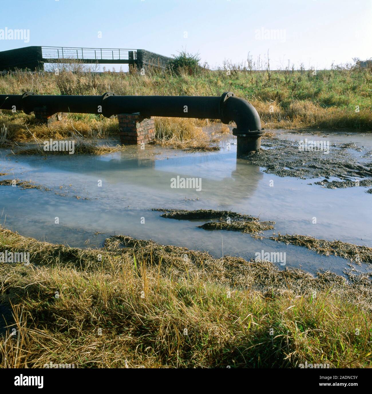 Brine leaking from a pipe. The pipe is transporting brine (water ...