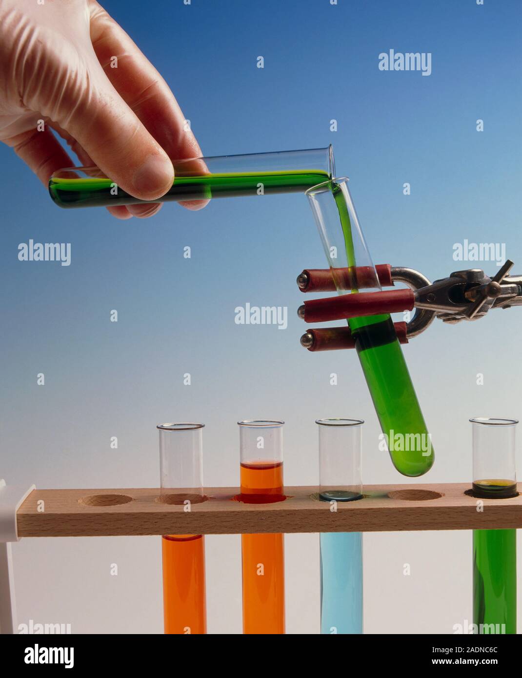 Rack of test tubes containing various coloured solutions. A green ...