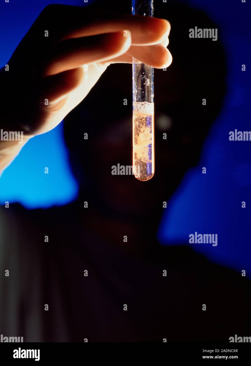 Effervescent liquid contained in a test tube Stock Photo - Alamy