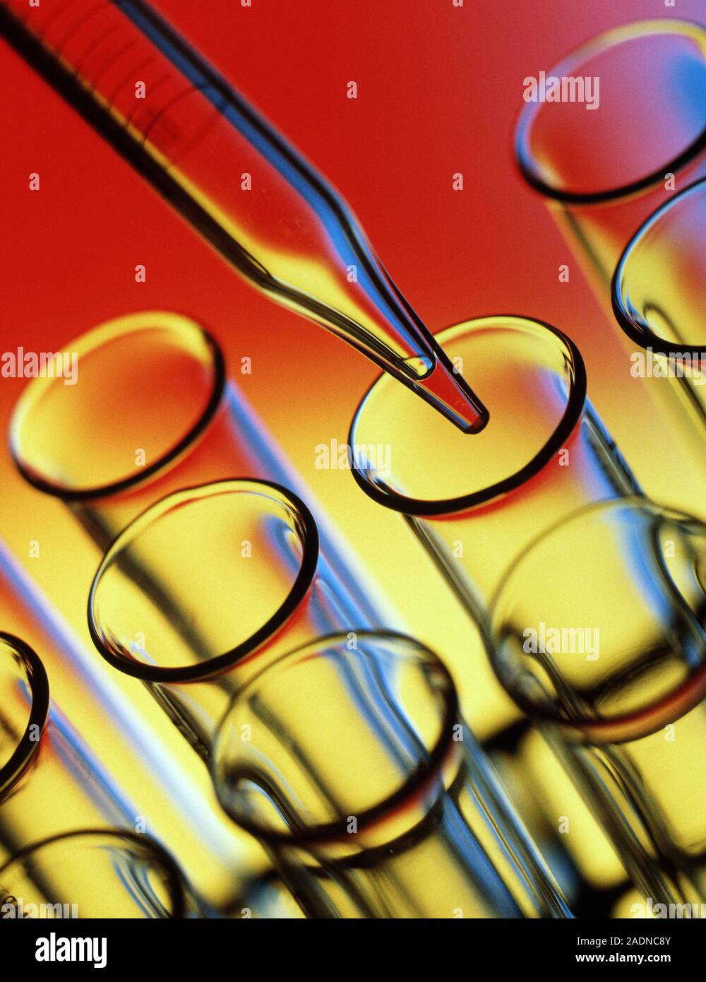 Pipette and test tubes. Pipette (at upper left) adding fluid to one of ...