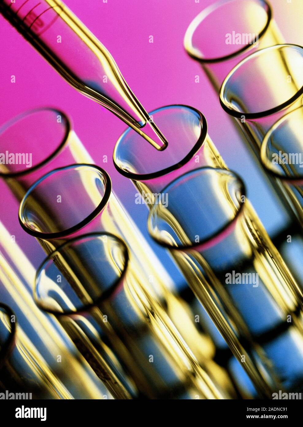 Pipette and test tubes. Pipette (at upper left) adding fluid to one of ...