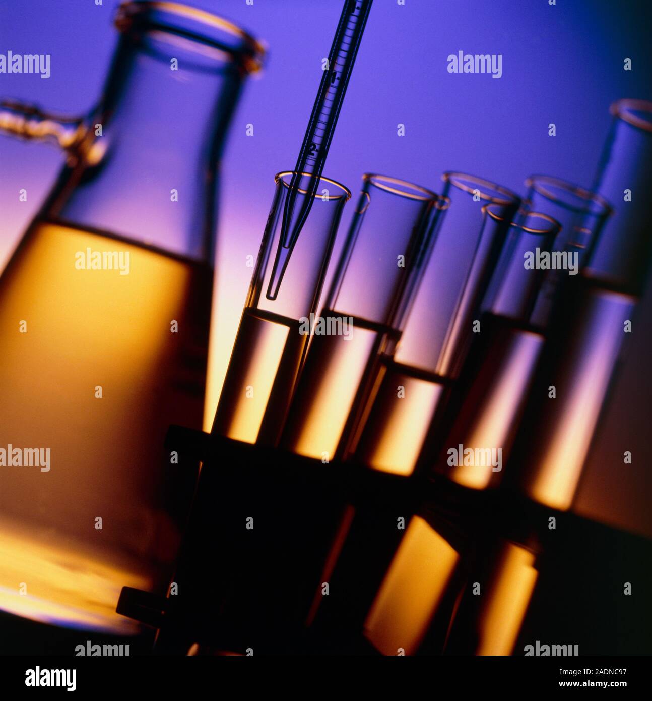 Laboratory glassware. Pipette (at upper centre) adding fluid to one of ...