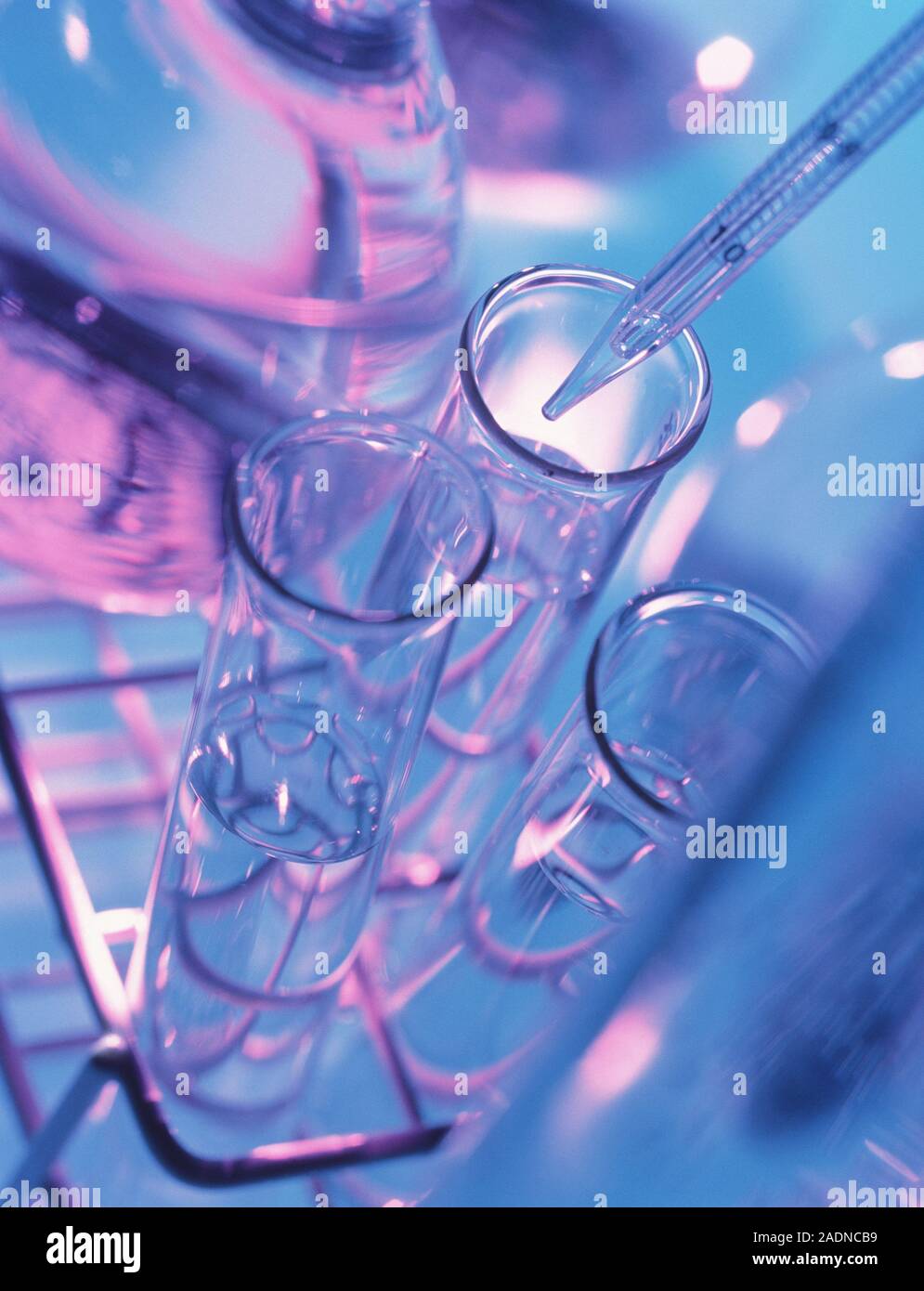 Pipette & test tubes. Pipette places a chemical solution into a test ...