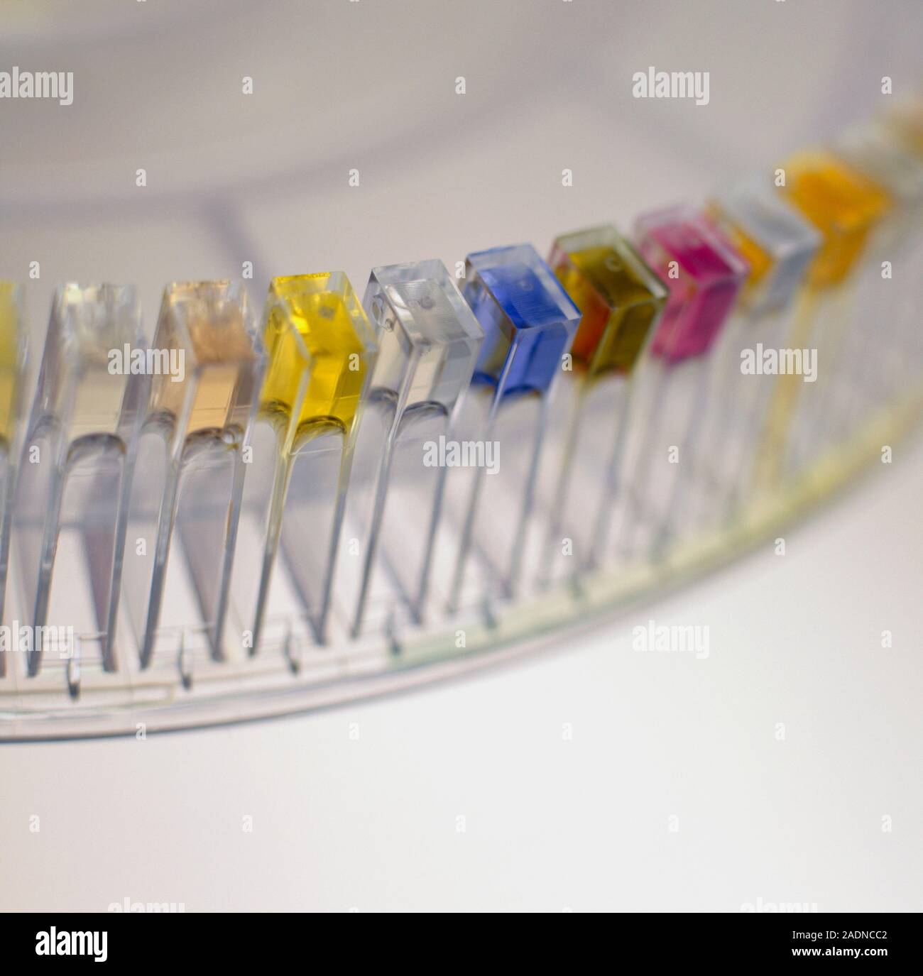 Spectrophotometer cells. Row of spectrophotometer cells holding ...