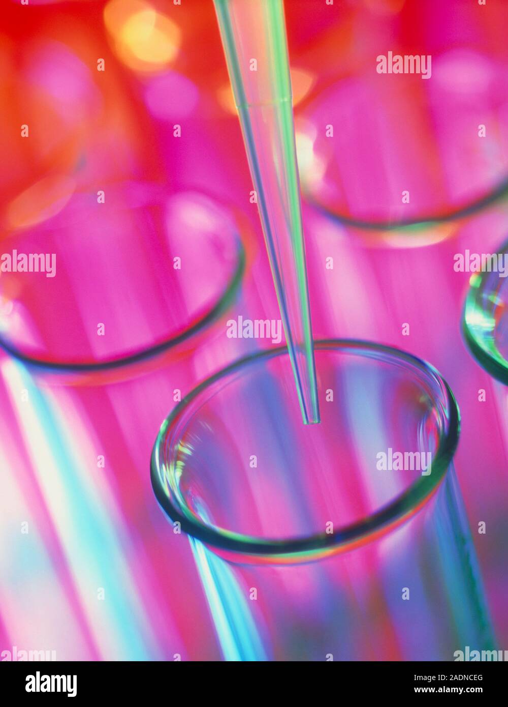 Laboratory glassware. View of the tip of a pipettor, a type of ...