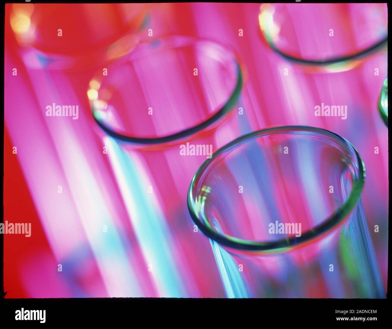 Test tubes. Rows of test tubes illuminated by red and pink light Stock ...