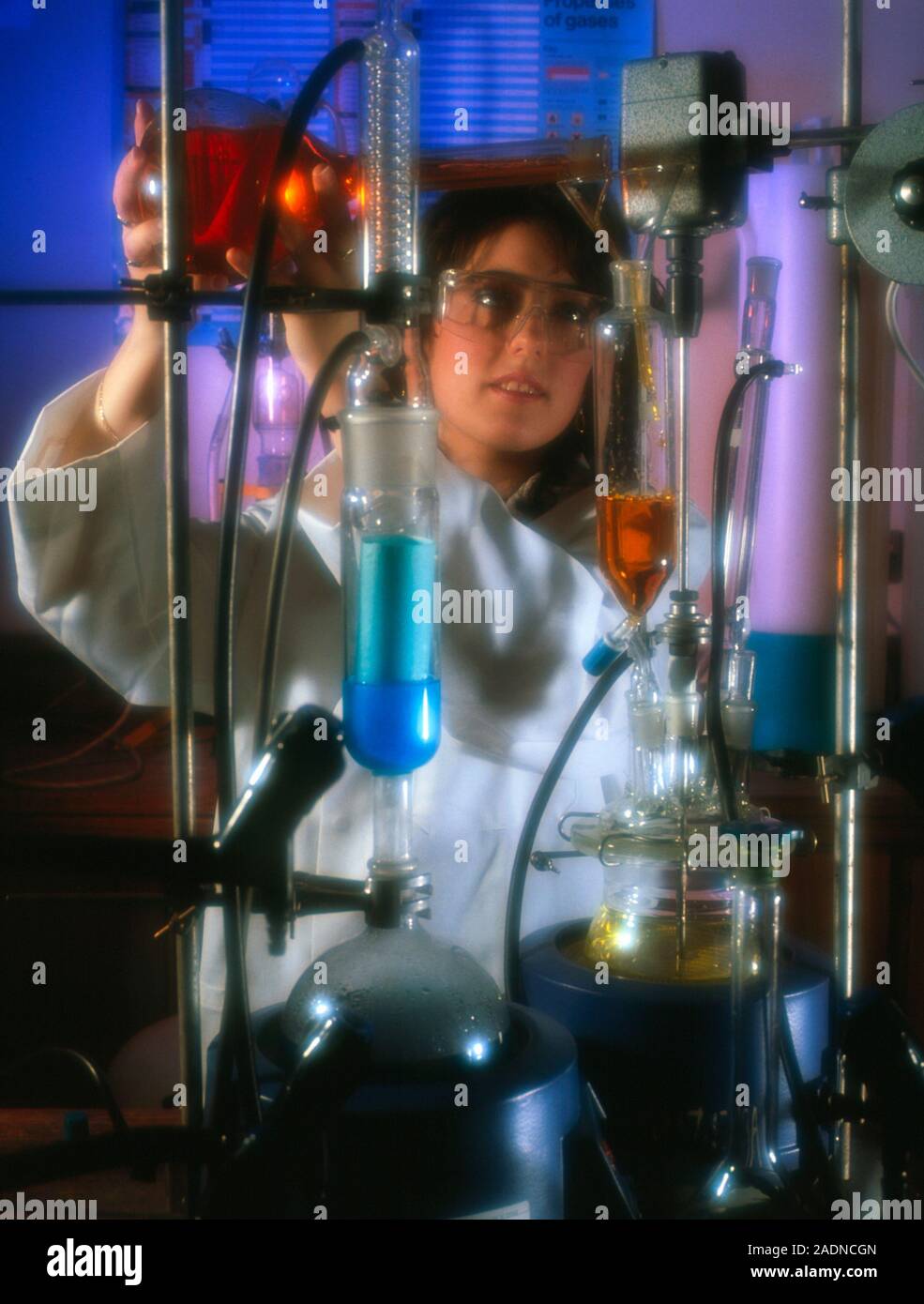 Chemistry reaction. Female chemist carrying out a reaction in a ...