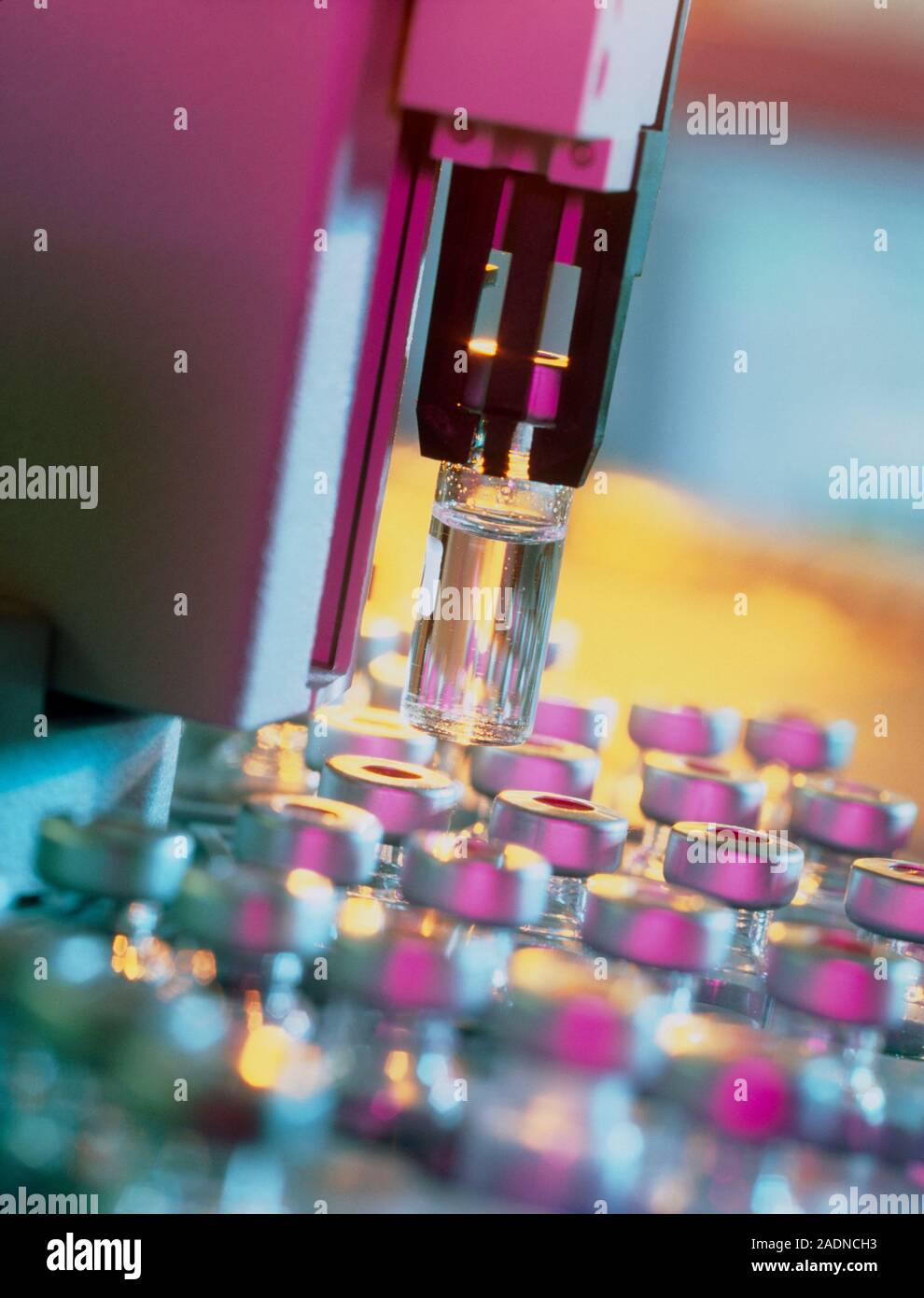 GCMS sample. Sample vial being selected for gas chromatography mass ...