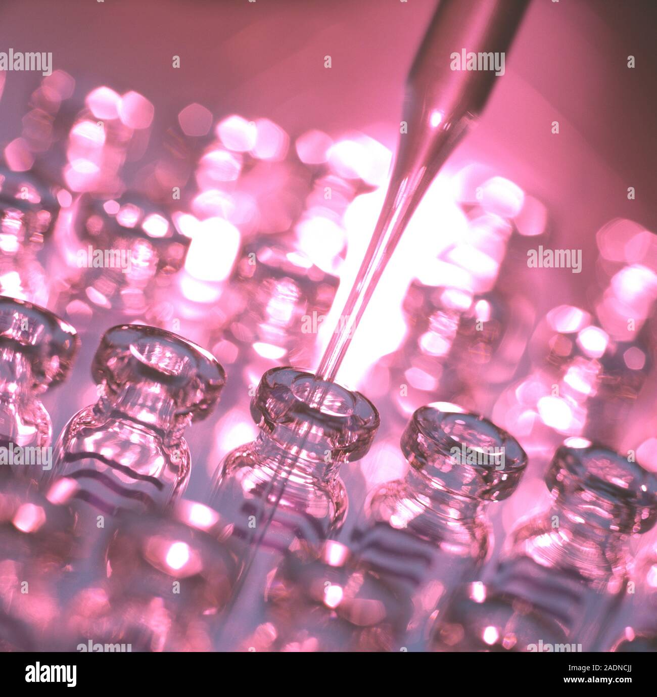 Pipetting. Glass pipette being used to transfer a volume of a chemical ...