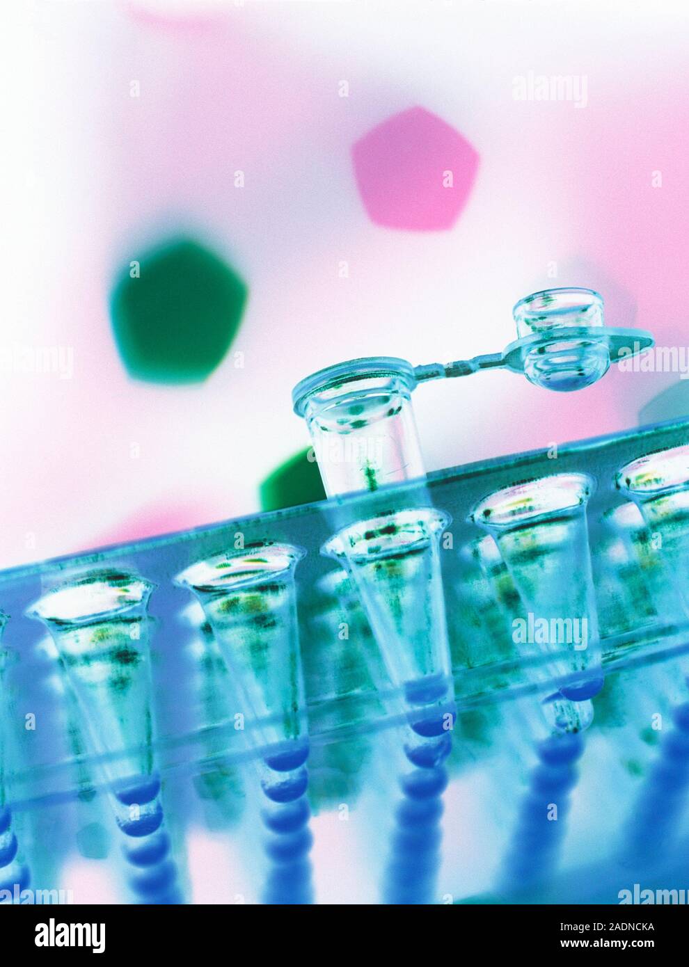 Vial in a rack Stock Photo - Alamy