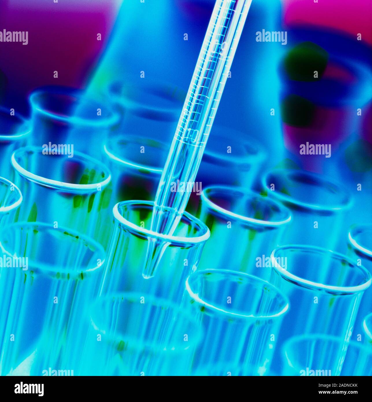 Pipetting. Graduated pipette with test tubes and other laboratory ...