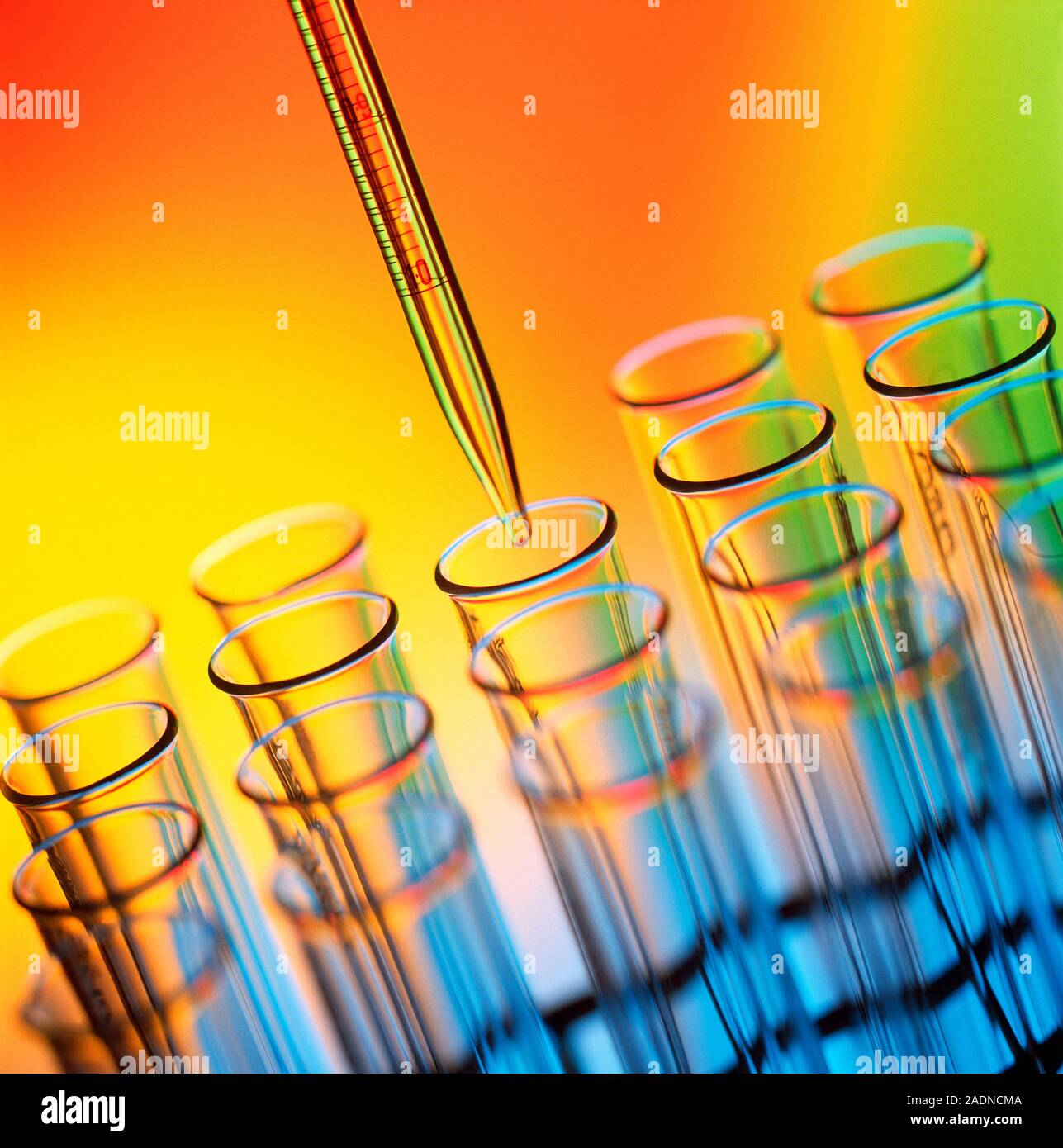 Pipetting. Graduated pipette with test tubes. A graduated pipette is ...