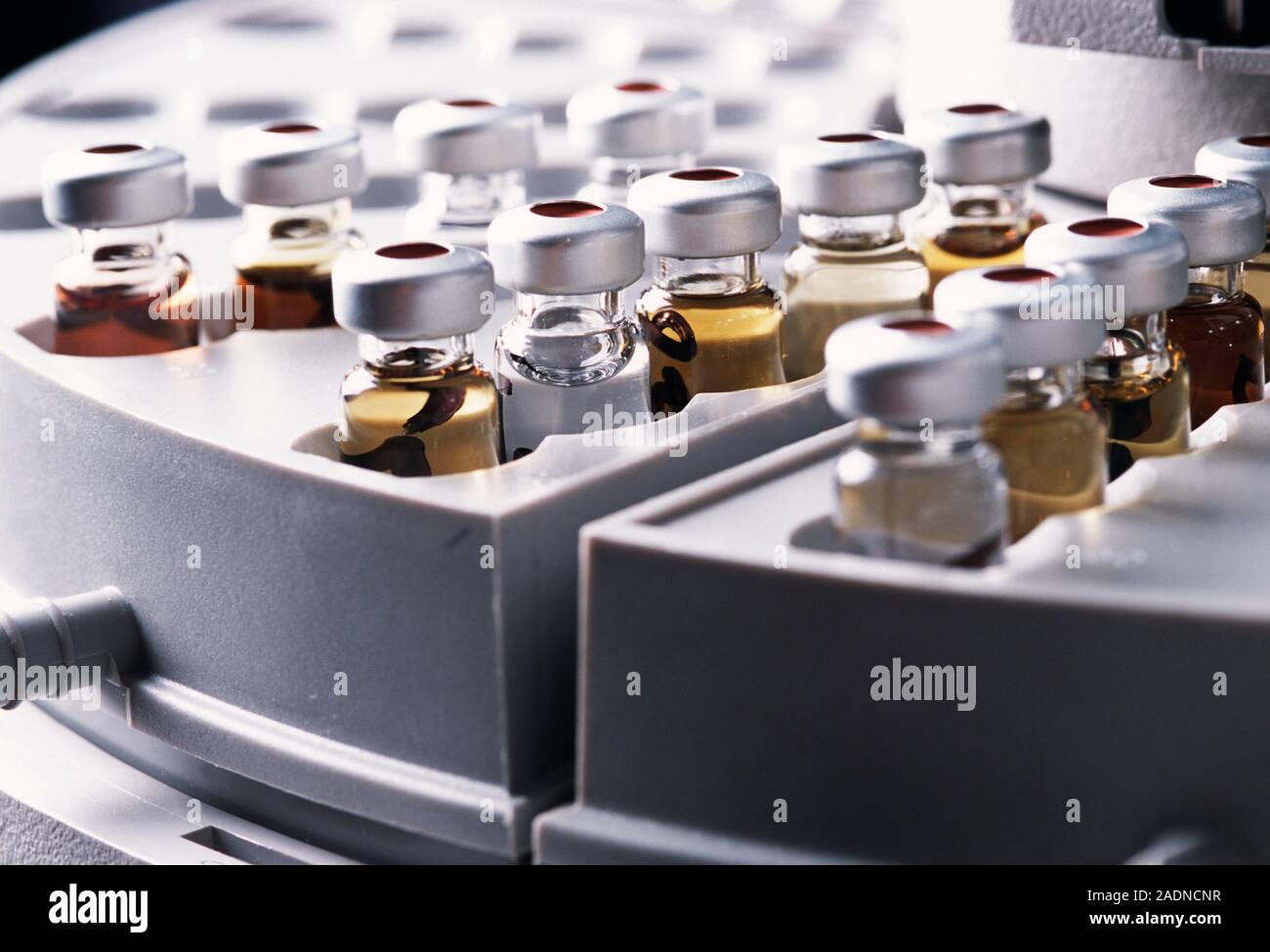 Vials in a rack Stock Photo - Alamy