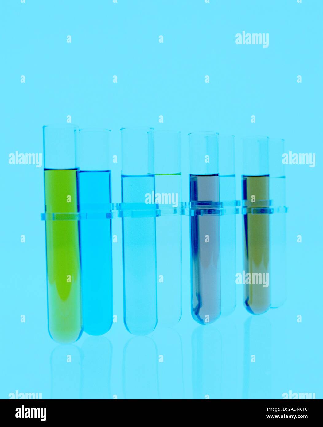 Test tubes containing coloured liquids Stock Photo - Alamy