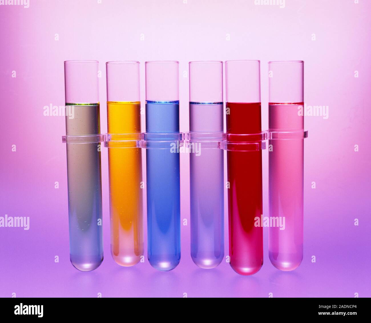 Chemistry. Coloured liquids in test tubes Stock Photo - Alamy
