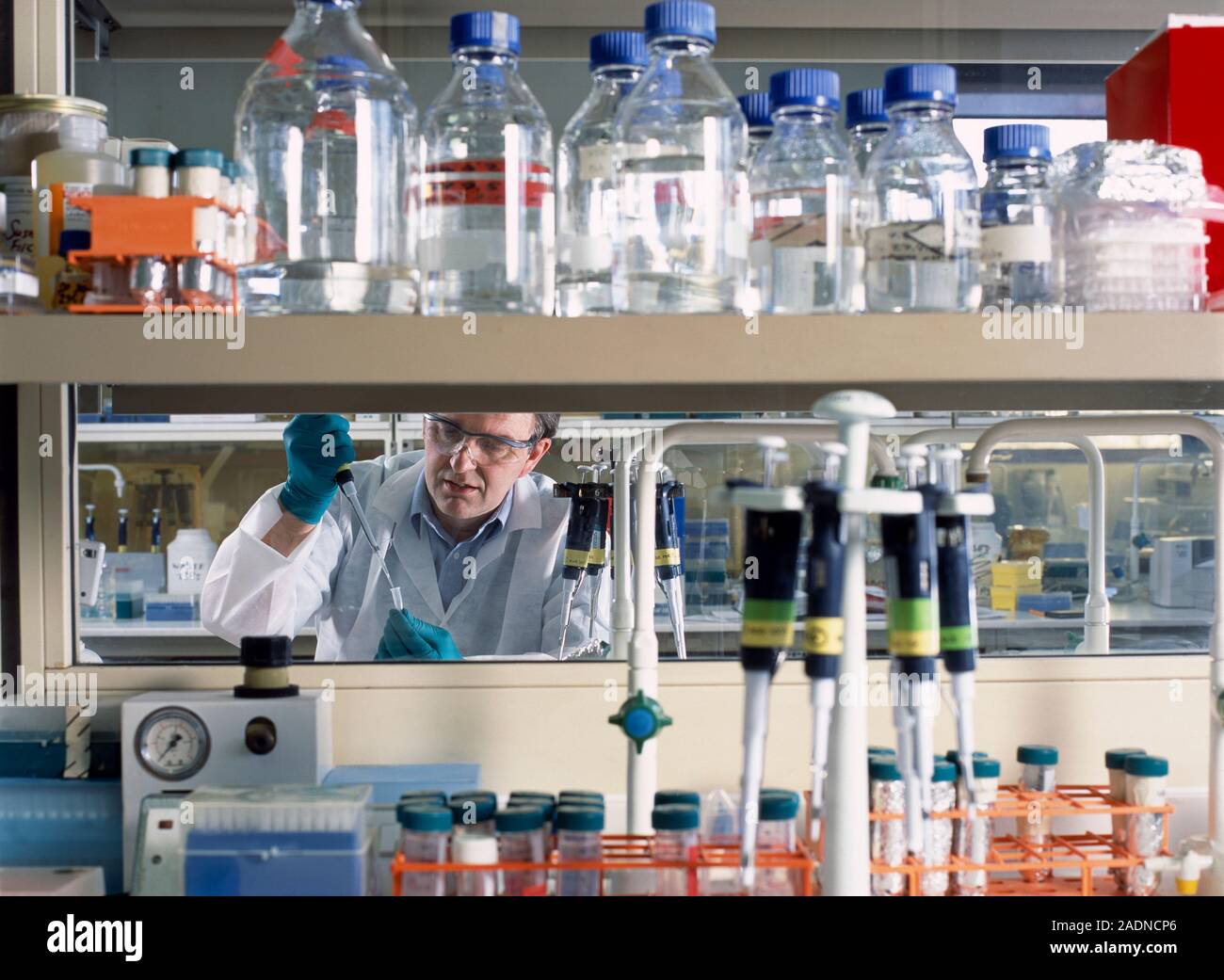 Laboratory work. Researcher using a pipette to transfer samples to and ...