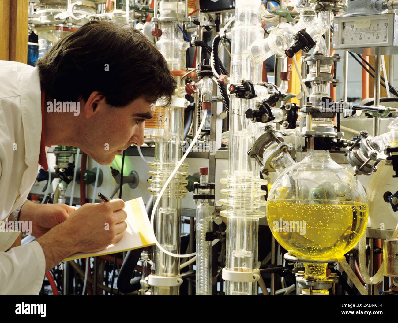 Research chemist studying a reaction in a laboratory Stock Photo - Alamy