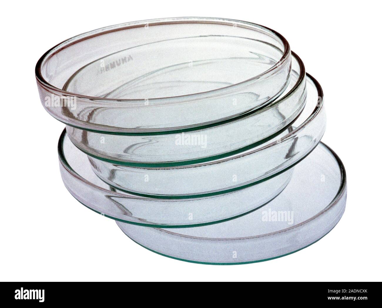 Petri dishes in a stack Stock Photo - Alamy
