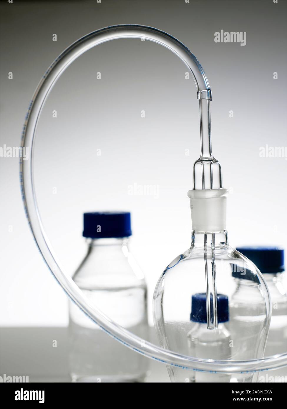 Laboratory glassware. The flask at lower right has a connector placed ...