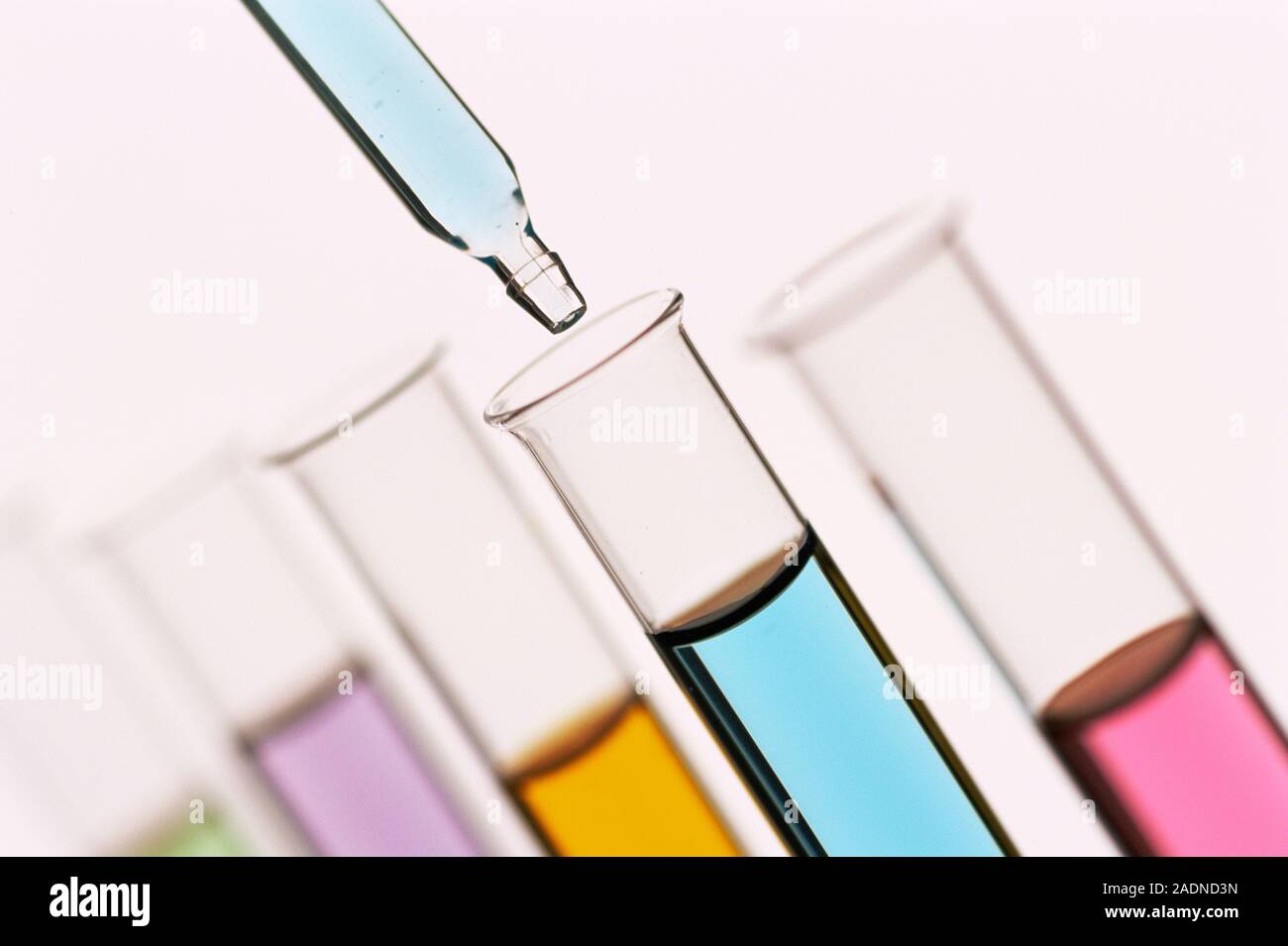 Pipetting liquid into test tubes Stock Photo - Alamy