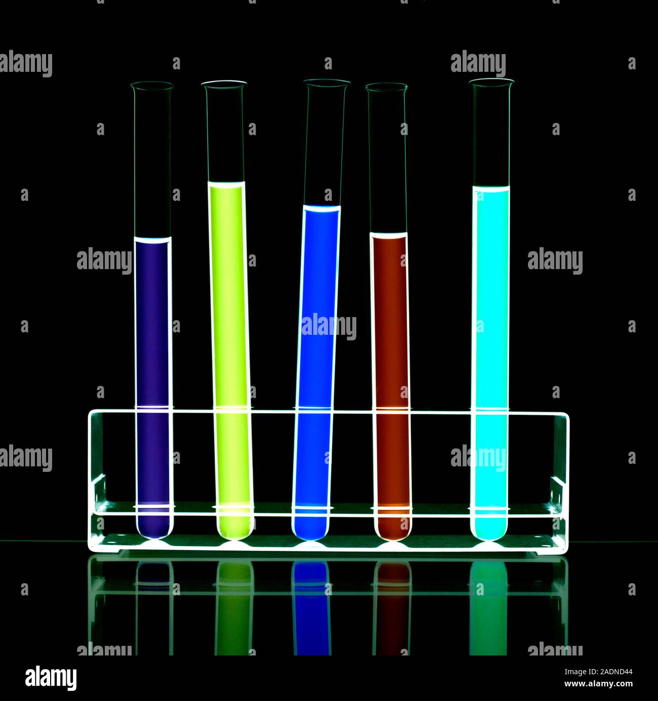 Liquid in test tubes. Different coloured liquids in test tubes in a ...