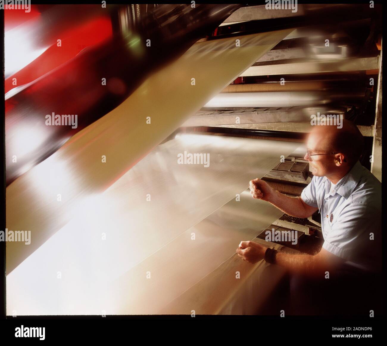 Flooring manufacture. Man checks the quality of a sheet of clear film ...