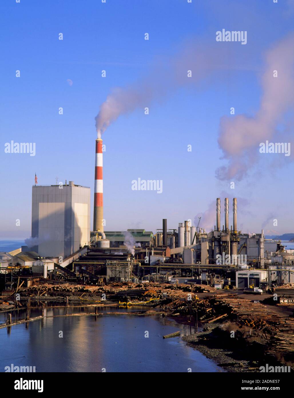 Timber processing plant. View of a timber processing plant with piles ...