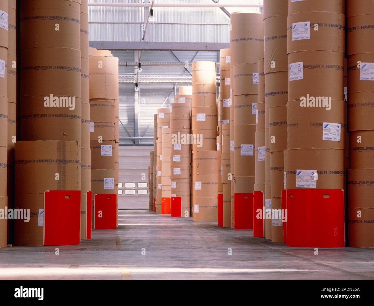 Paper reels. Stacks of manufactured paper reels in the storage area of ...