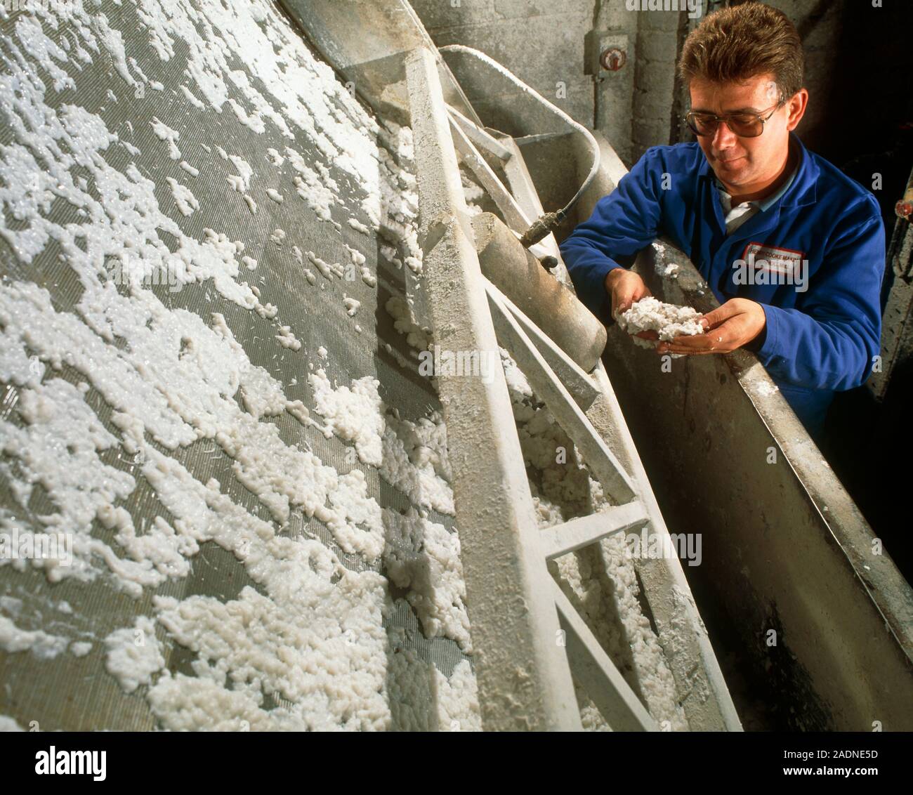 Pulp sampling in paper mill. A worker checks a sample of bleached wood ...
