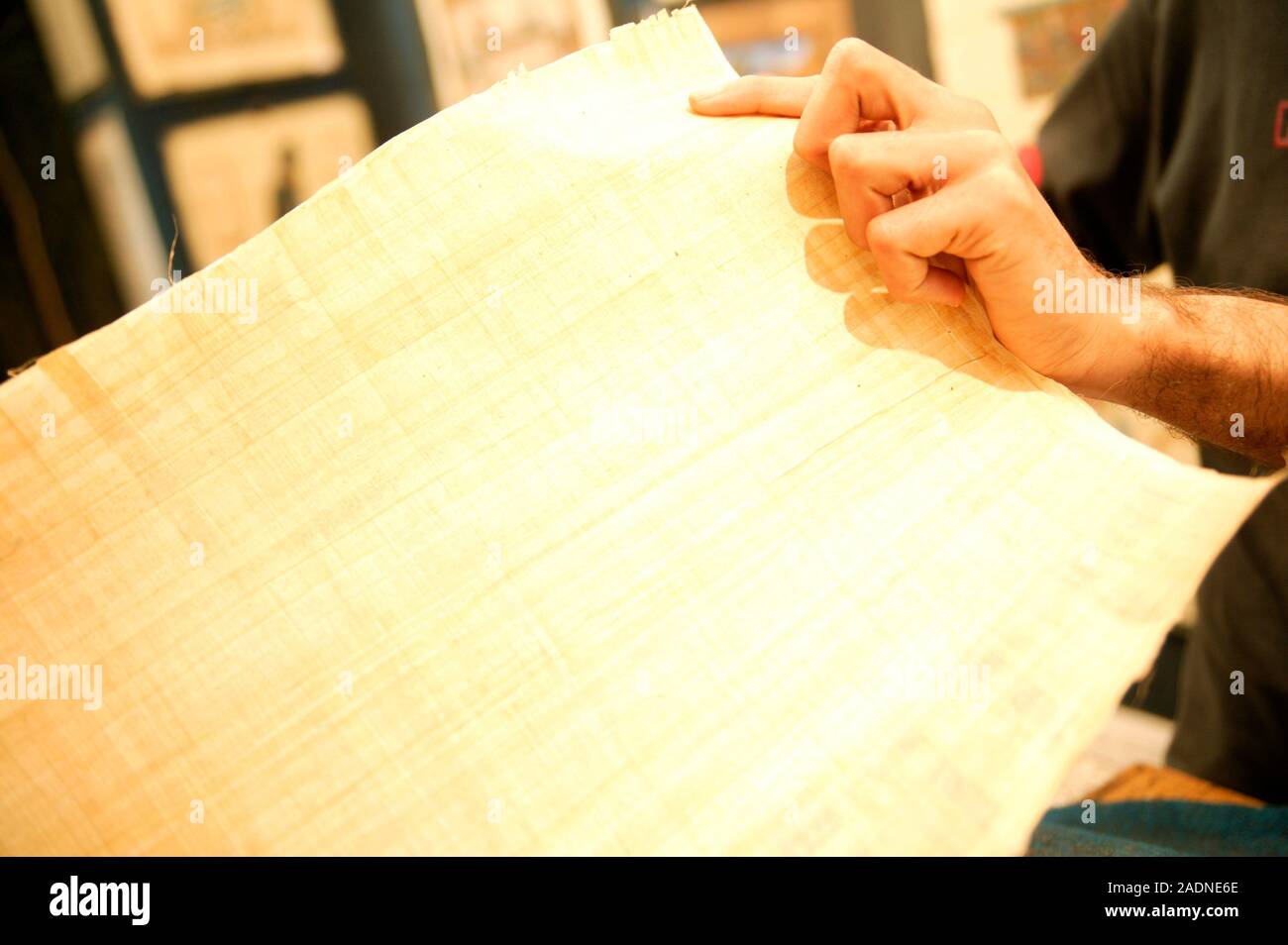 Papyrus paper. Image 5 of 5. This paper is made from the pith of the ...