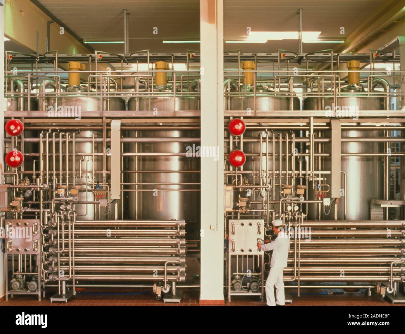 Yoghurt manufacture. Technician attending to factory equipment used to ...