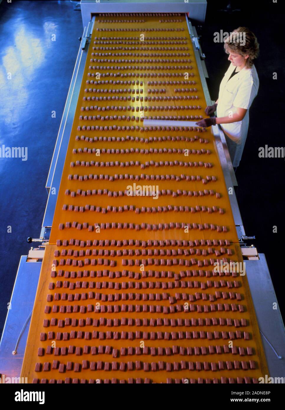 Confectionery production. Woman working by a conveyor belt on a ...