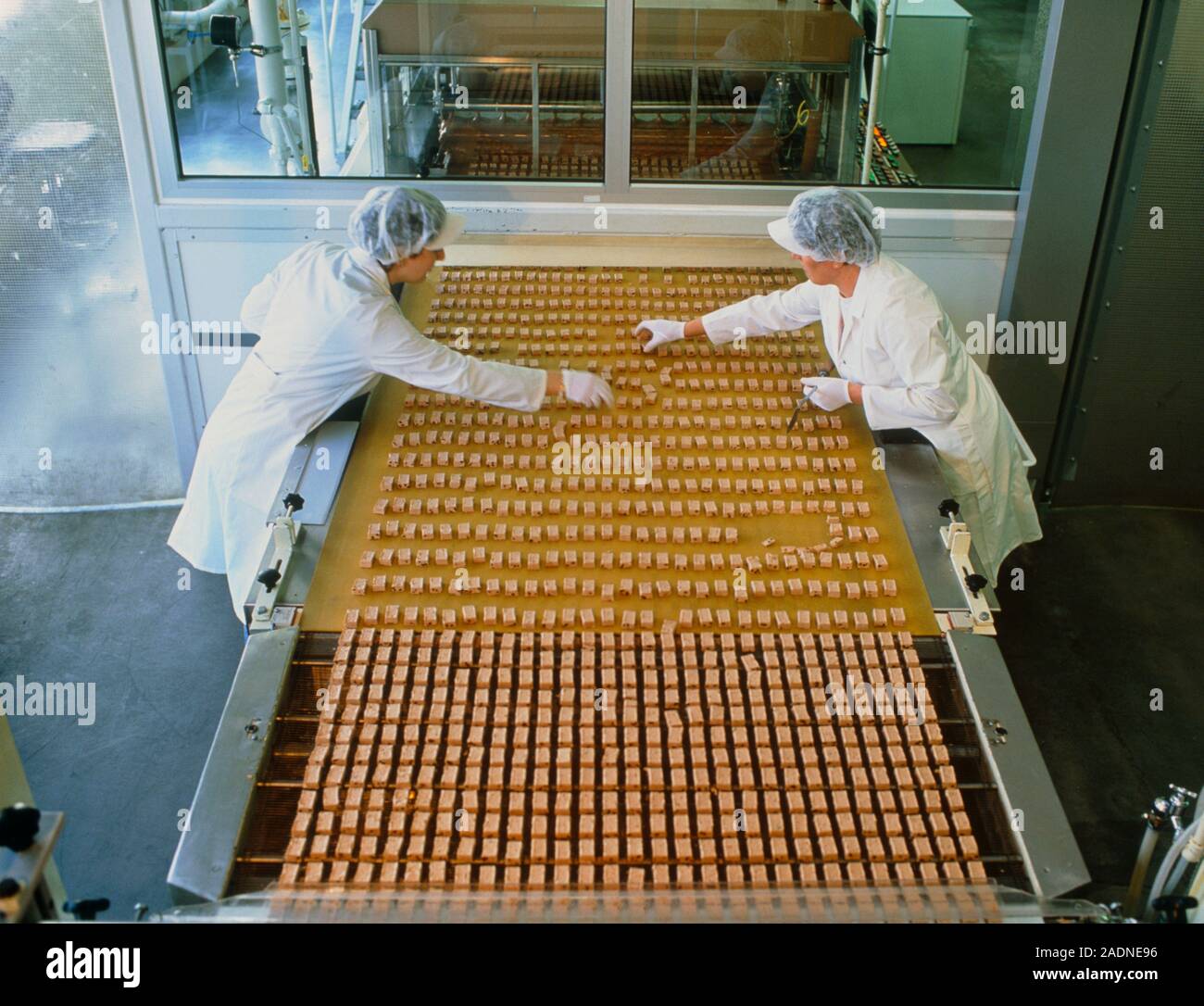 Confectionery production. Women working by a conveyor belt on a ...