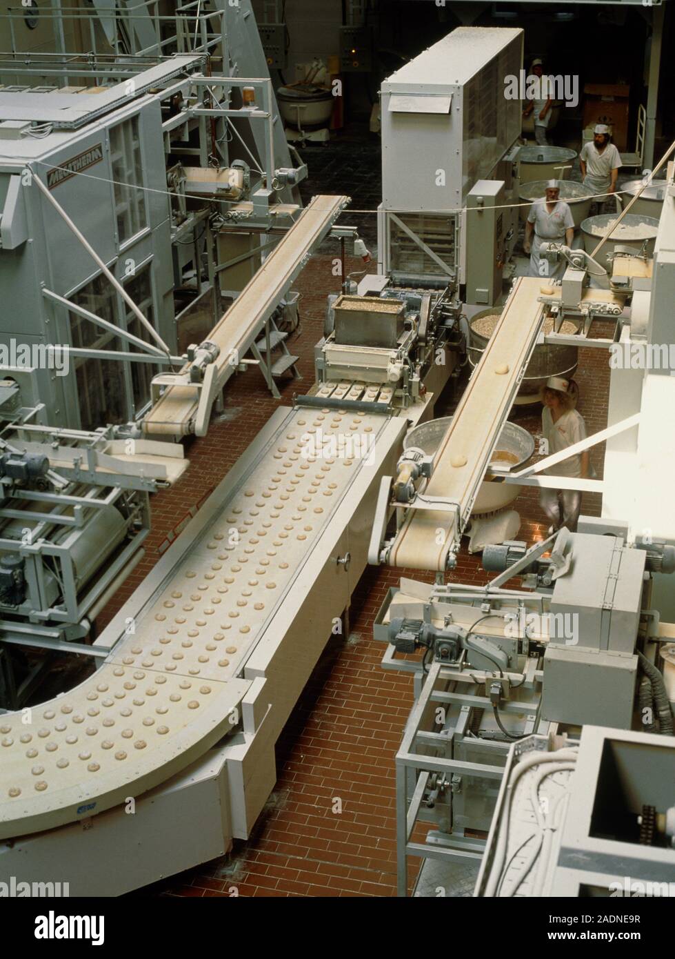 Bread production line. Workers watching portions of dough being carried ...