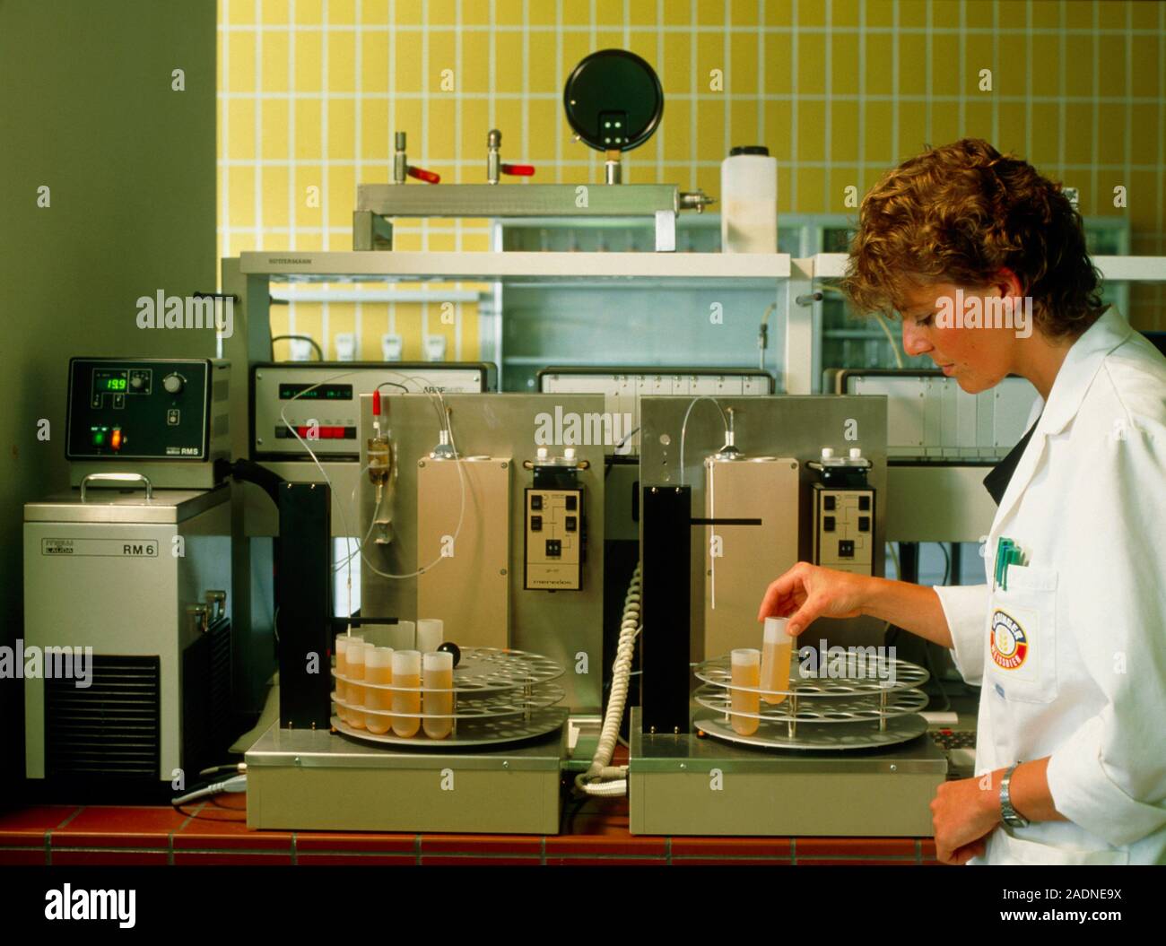 Beer testing. Female technician prepares samples of recently-brewed ...
