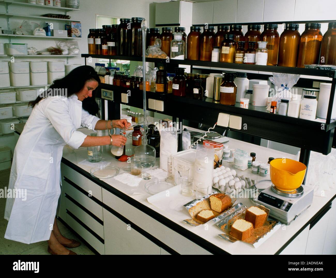POSED BY MODEL. Food research. Technician testing the suitability of ...