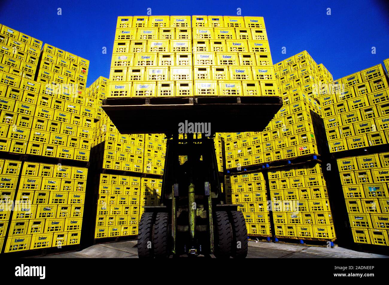 Beer industry. Fork-lift truck lifting a pallet of beer crates. Bier is ...